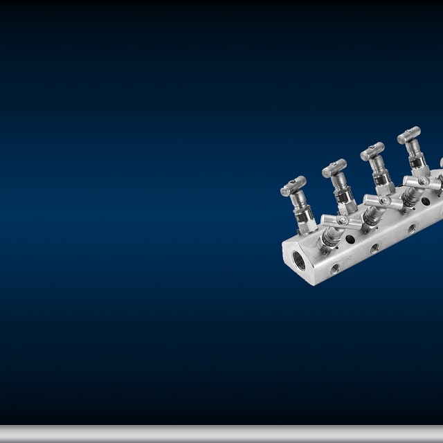 J6 distribution manifold | Swagelok