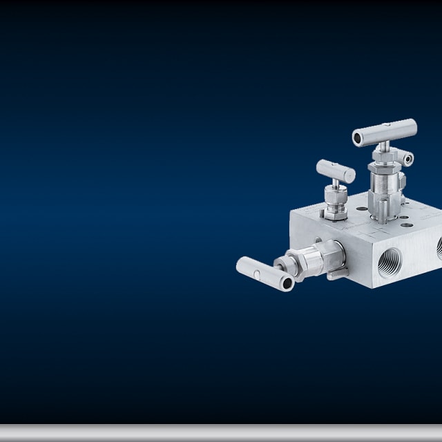 Manifolds | Swagelok