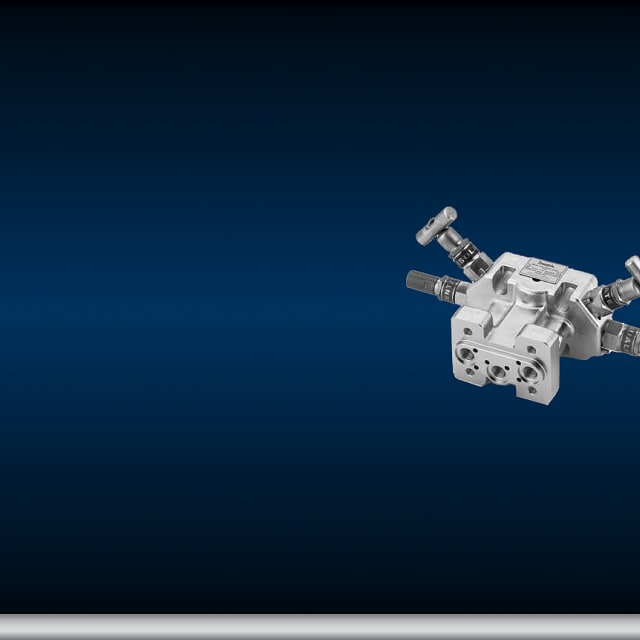 Mod 85 modular manifold | Swagelok