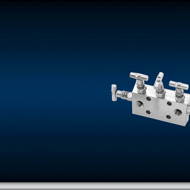 VE series direct-mount manifold | Swagelok