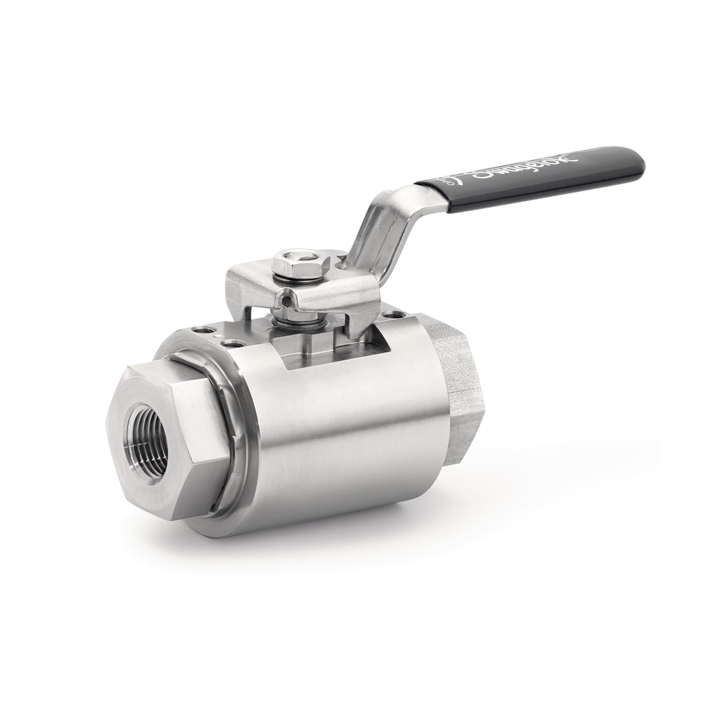 Stainless Steel General Service GB Series Ball Valve, Reinforced PEEK Seats, 1 in. FNPT | Full ...